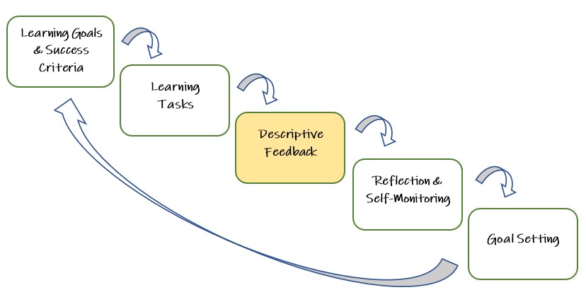 Professional Learning about Assessment: Feedback as a Catalyst for ...